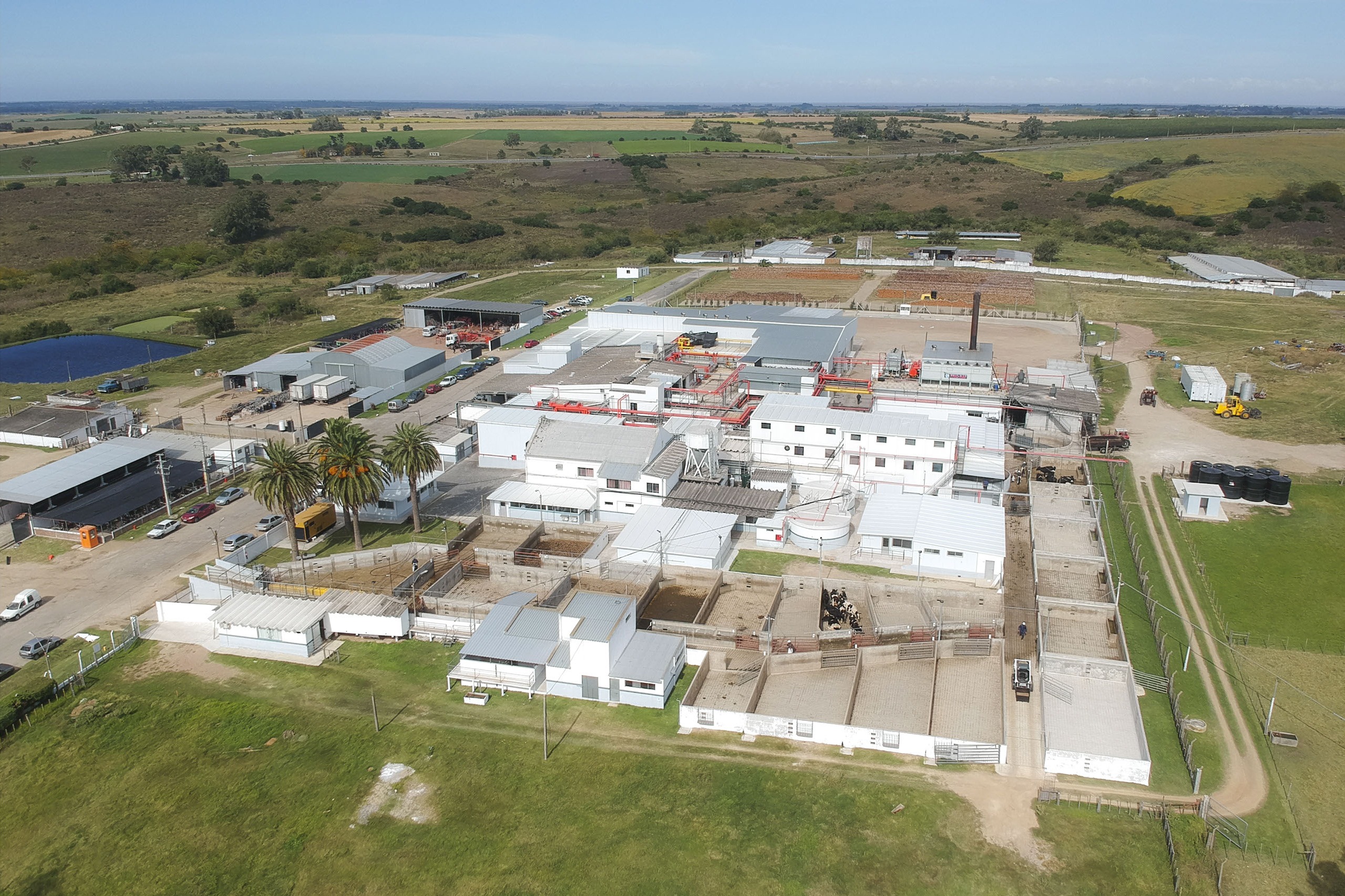 FOICA advierte por desempleo en el sector y pide al gobierno diálogo ...